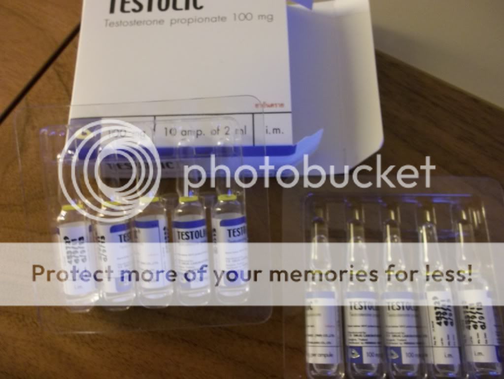 Body Research Lab | Forum Musclesenmetal