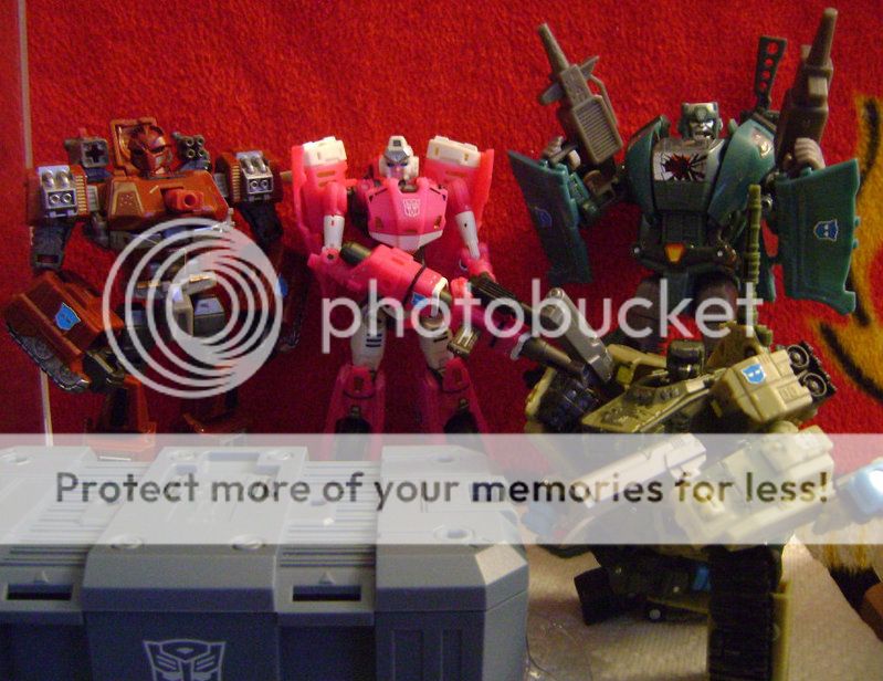 Anyone here have Wreckers symbol on your "Wreckers" or just regular ...