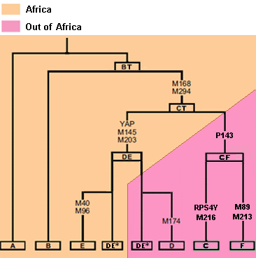EgyptSearch Forums: Egyptian Old Kingdom and New Kingdom Ancient DNA ...